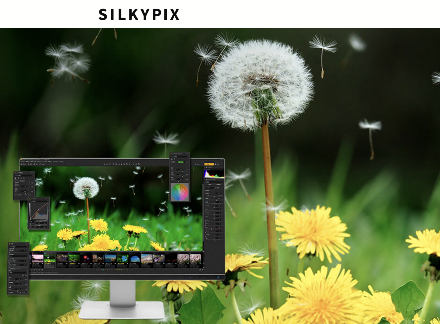 SILKYPIX Developer Studio Pro12の料金・使い方を解説 | 久保直之